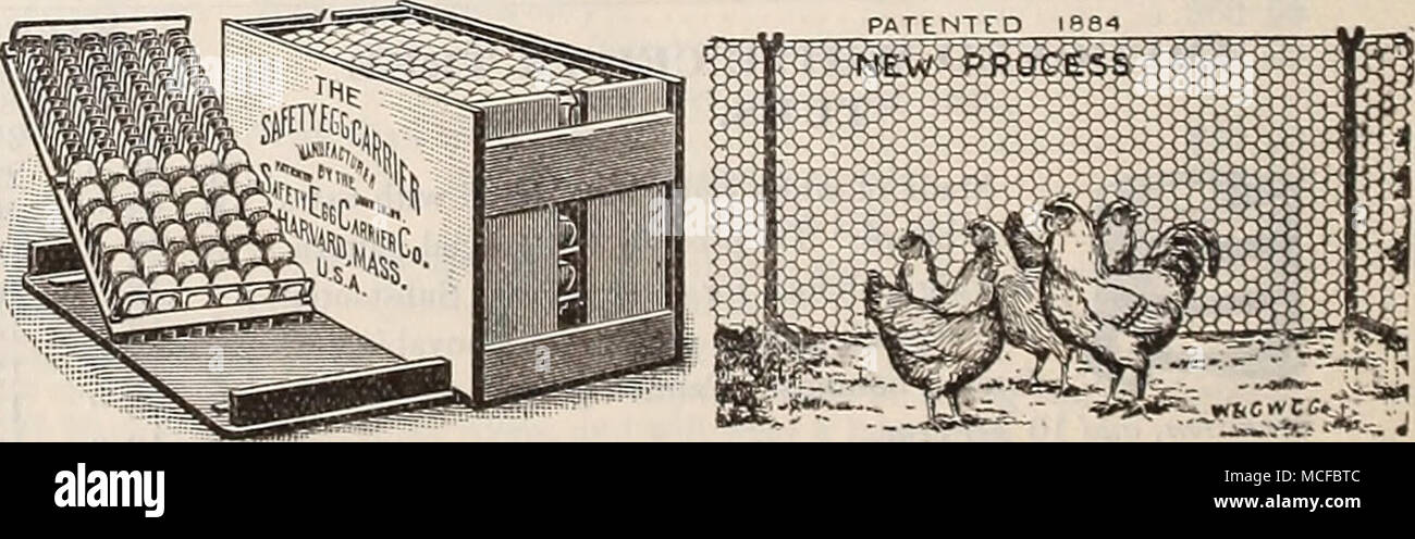. Iron Feeding Trough. Safety Egg Carrier. â Wire Netting. 1>KEEK'S ...