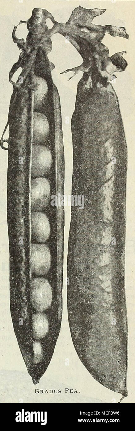 Trial postpaid hi-res stock photography and images - Alamy