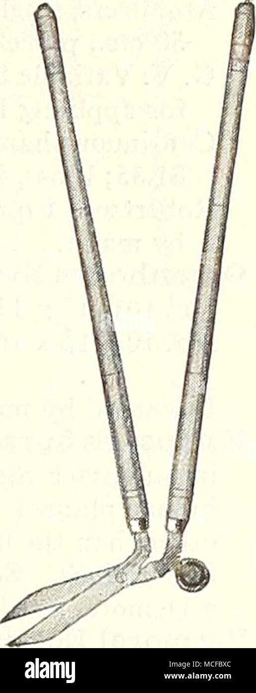 . Border Shear Stock Photo - Alamy