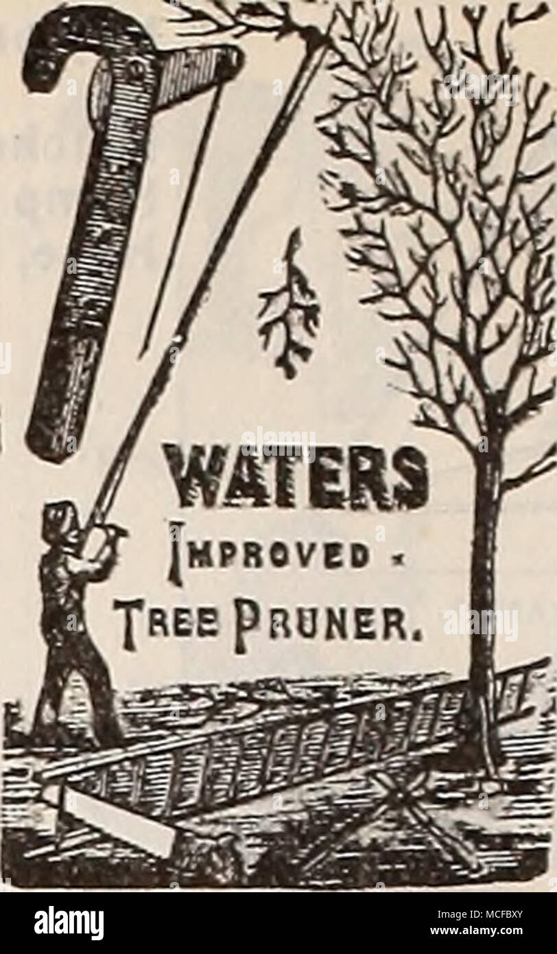 Tree Scraper Stock Photo - Alamy