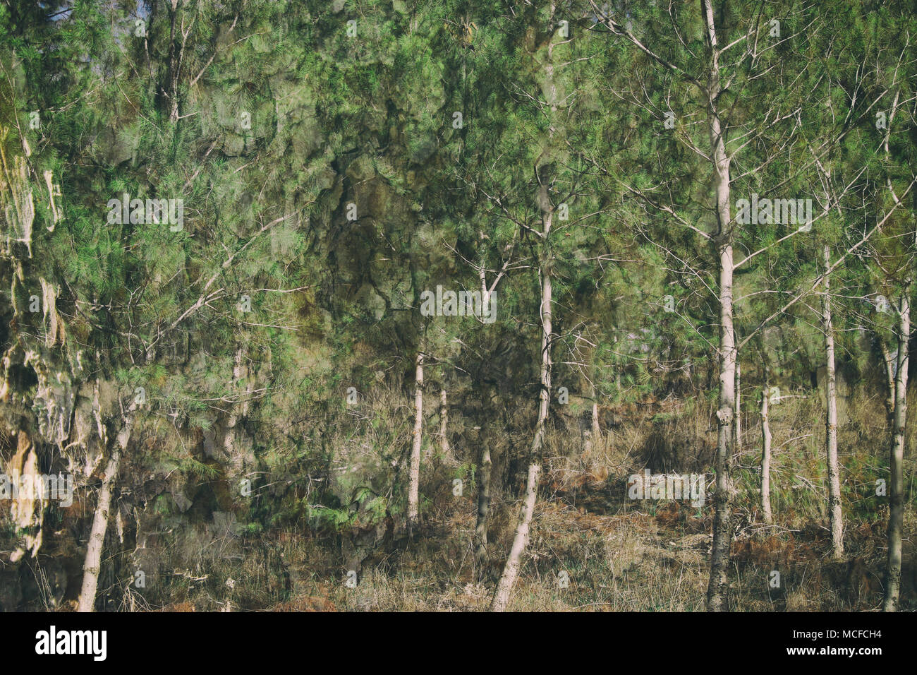 Multiple time exposure sun hi-res stock photography and images - Alamy