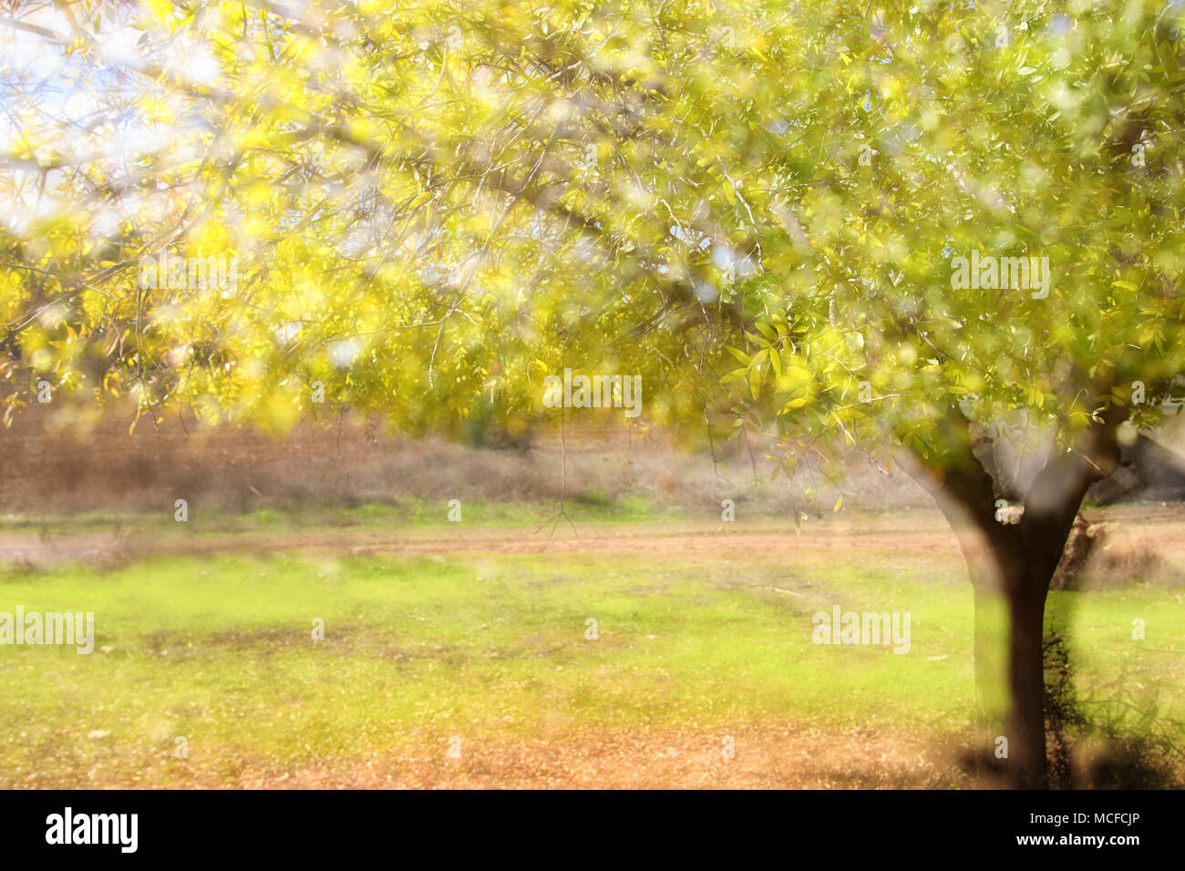 Multiple time exposure sun hi-res stock photography and images - Alamy