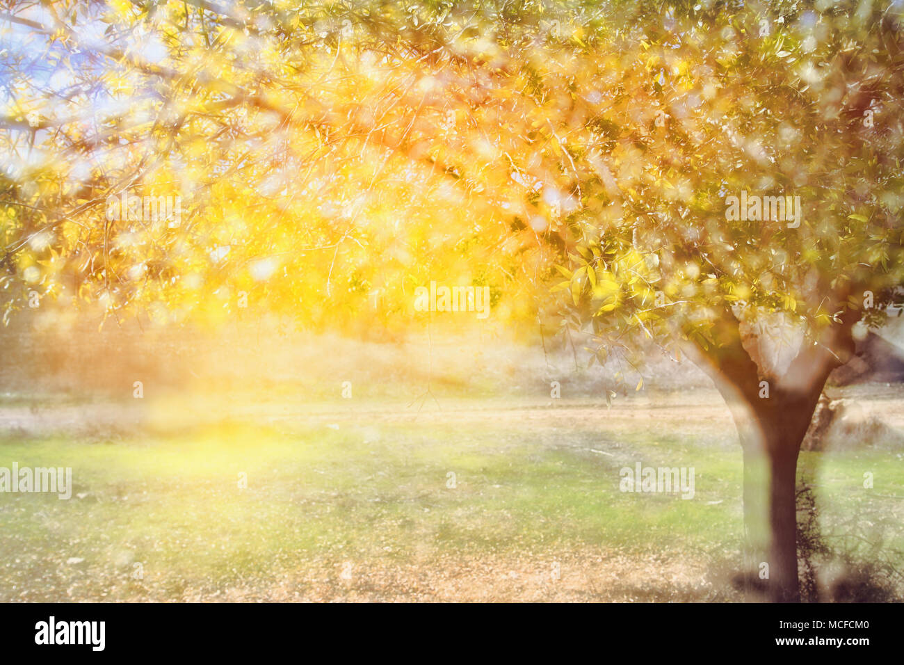 Multiple time exposure sun hi-res stock photography and images - Alamy