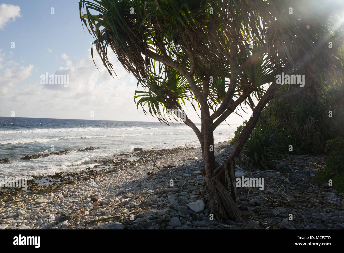 Tuvalu beach hi-res stock photography and images - Alamy