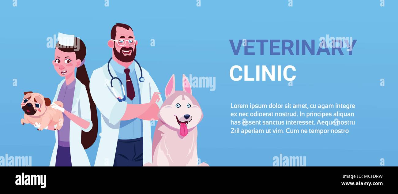 Man And Woman Vet Doctors With Dog Over Template Background With Copy ...