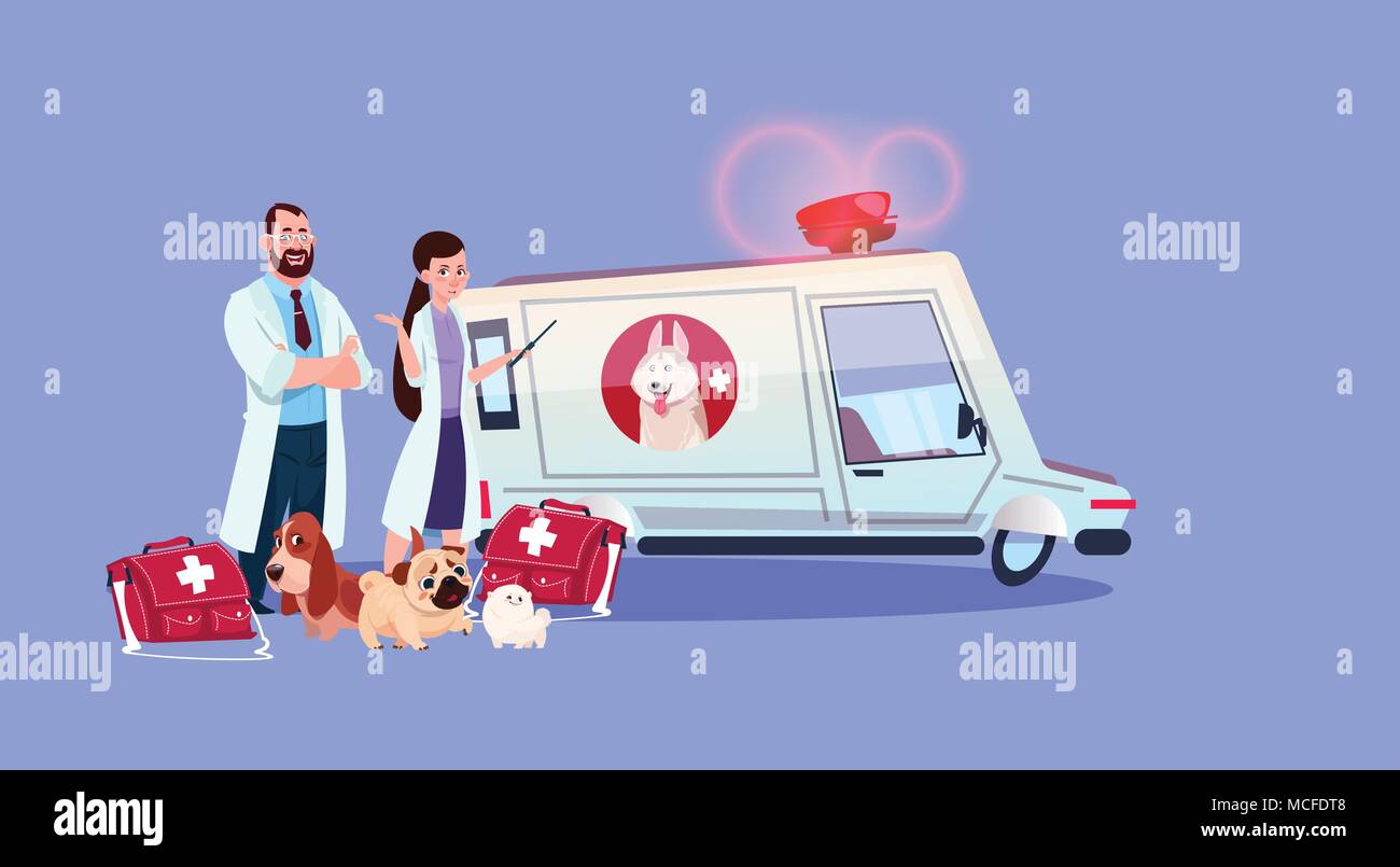Veterinarian Doctors Standing At Ambulance Car Veterinary Medicine ...