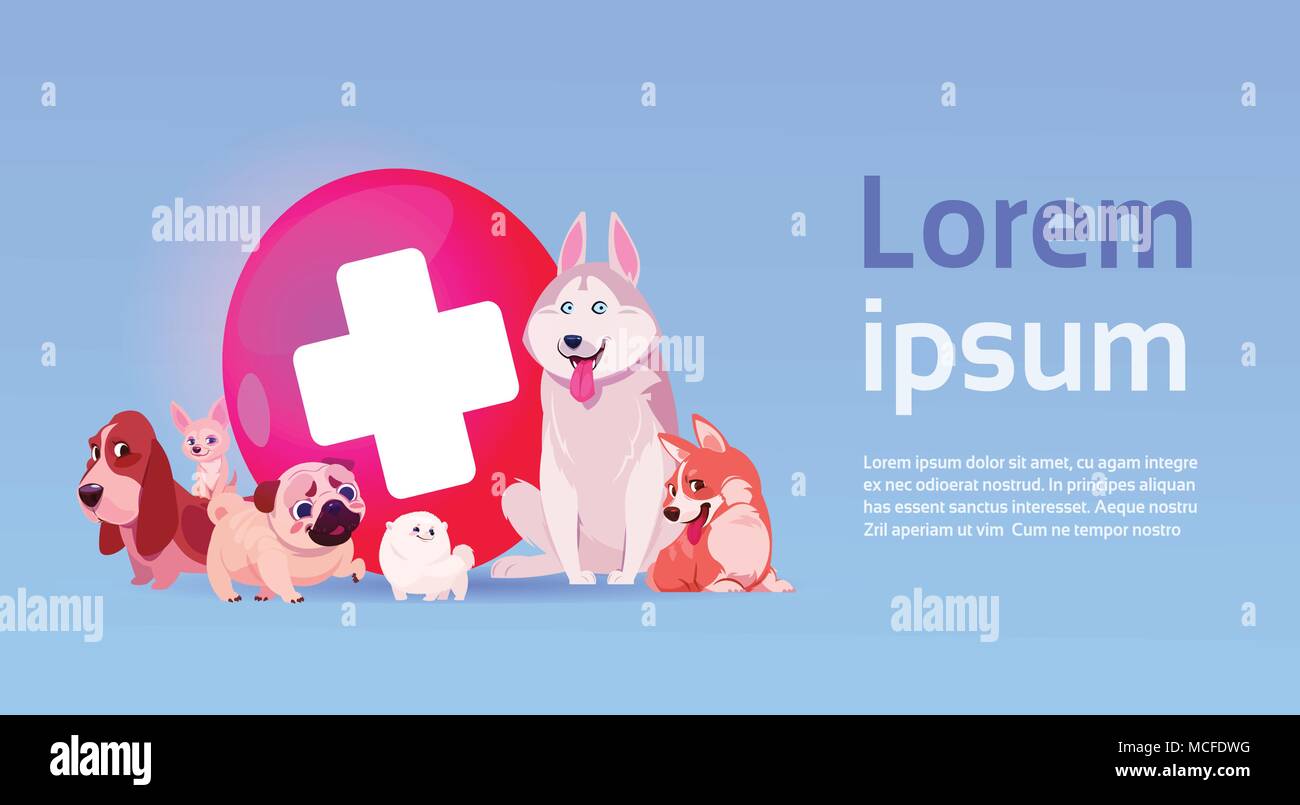 Group Of Happy Dogs Over Vet Clinic Icon Veterinary Medicine Concept ...