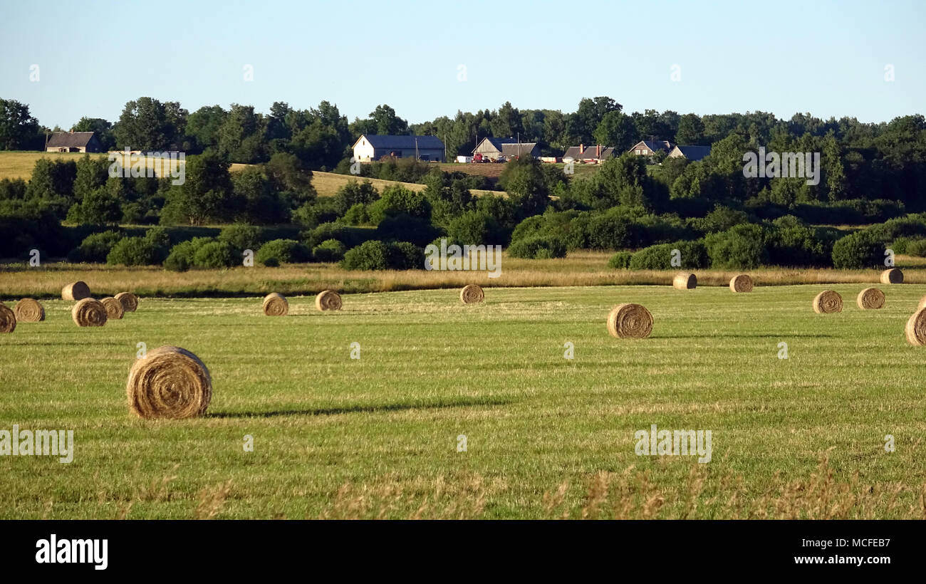 Haystacks straw agriculture agricultural farm field farming hi-res ...