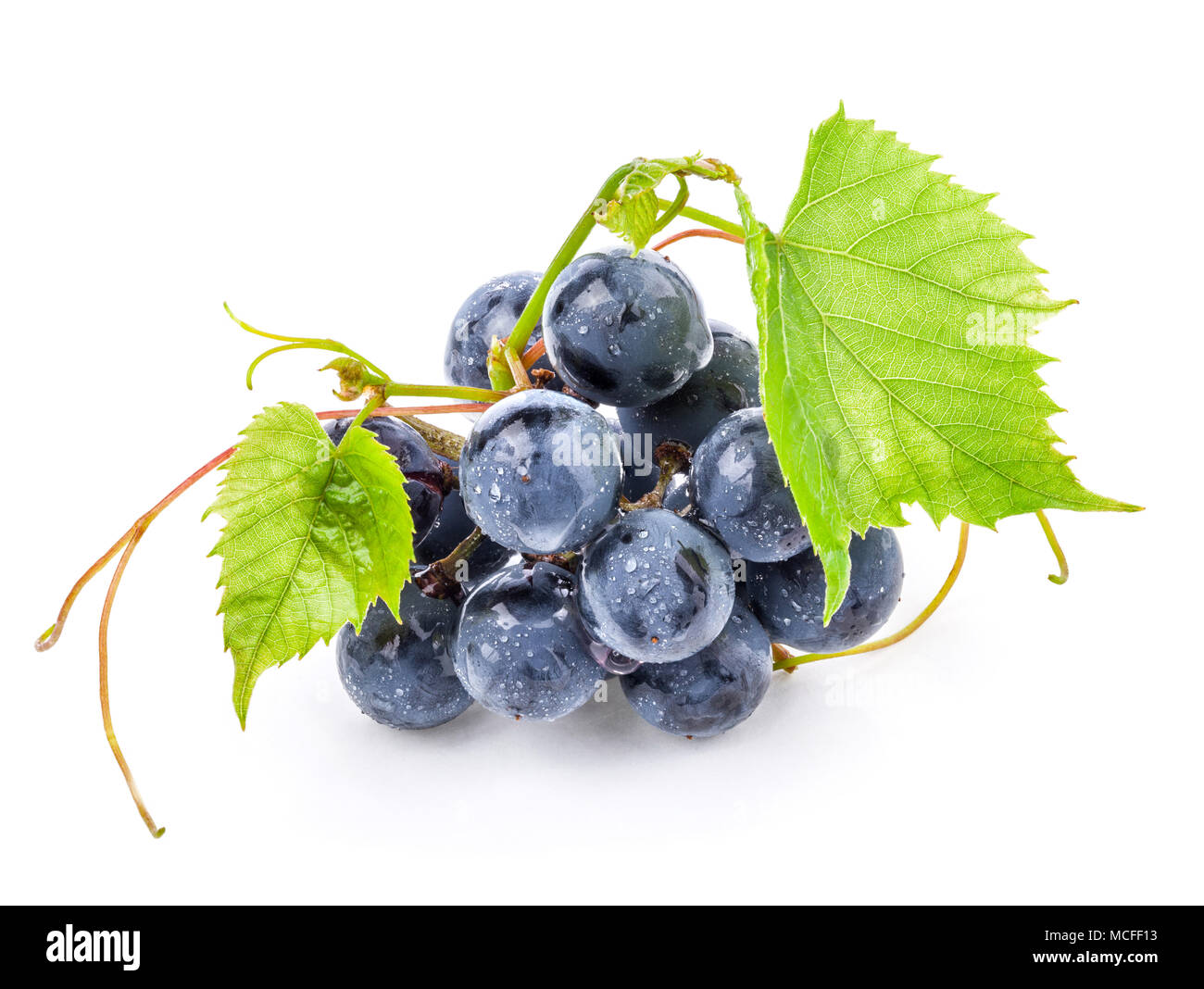 Ripe dark grapes with leaves, Isolated on white background Stock Photo ...