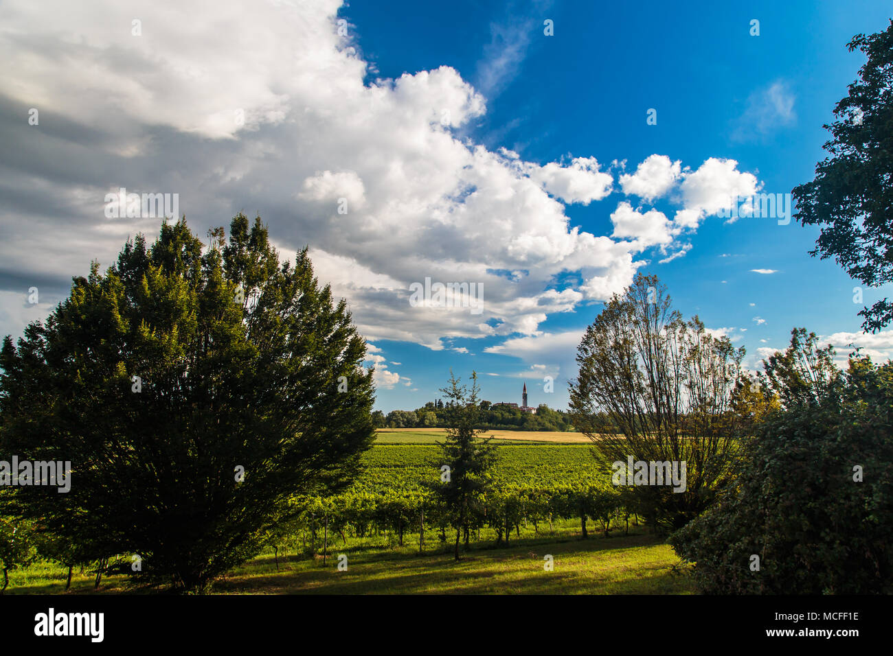 Sunset in Collio, a location known for a fine wine production, Friuli, Italy Stock Photo - Alamy