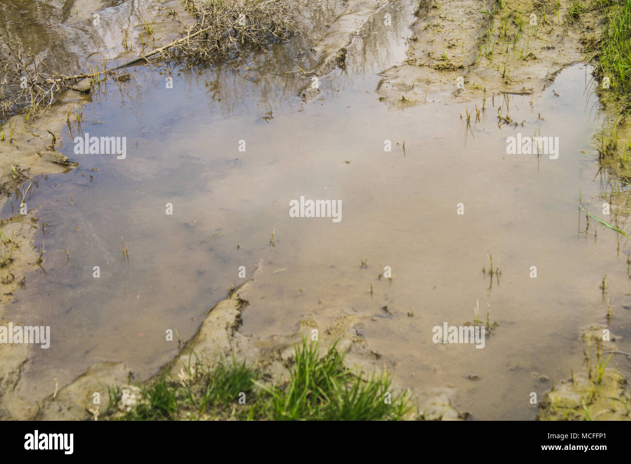 impassable forest road of mud and clay, offroad Stock Photo - Alamy