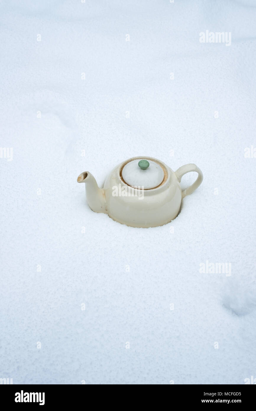 Unusual shot of a classic british porcelain teapot embedded in a fresh ...