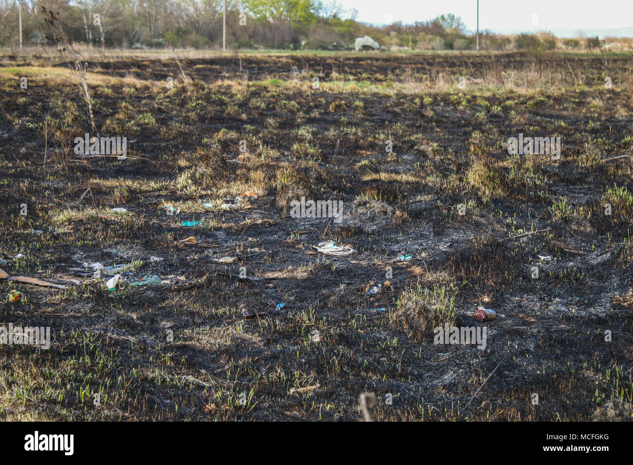 Burned black yellow grass texture hi-res stock photography and images ...