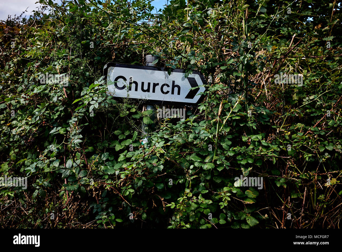 A church signpost lost in an overgrown country hedge Stock Photo - Alamy