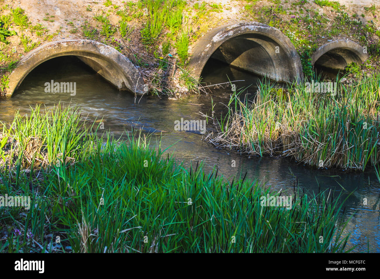 Concrete culvert pipe hole system draining sewage water. Environmental ...
