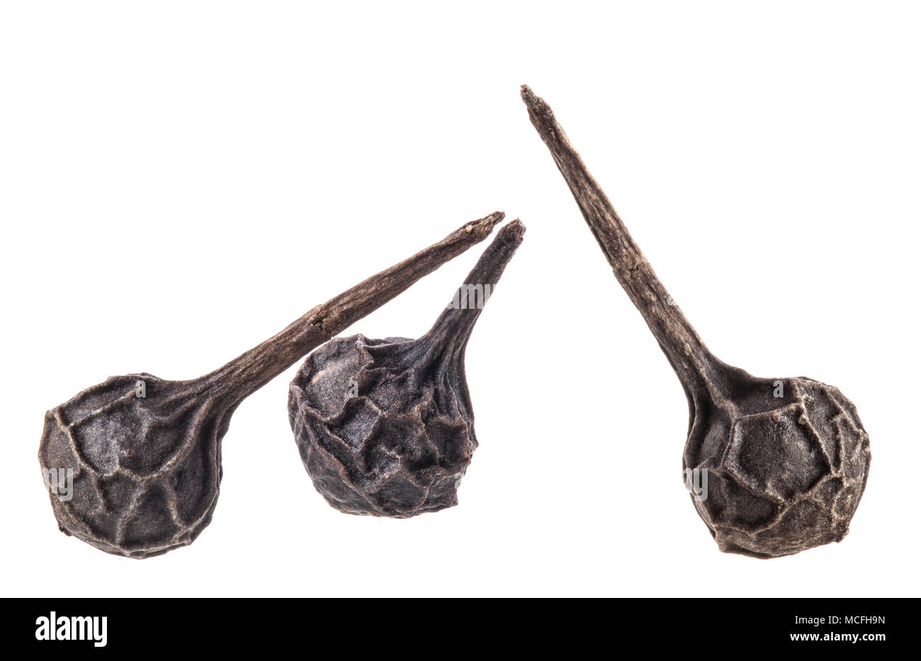 Black Peppercorn (Cubeb) Isolated on white background Stock Photo - Alamy
