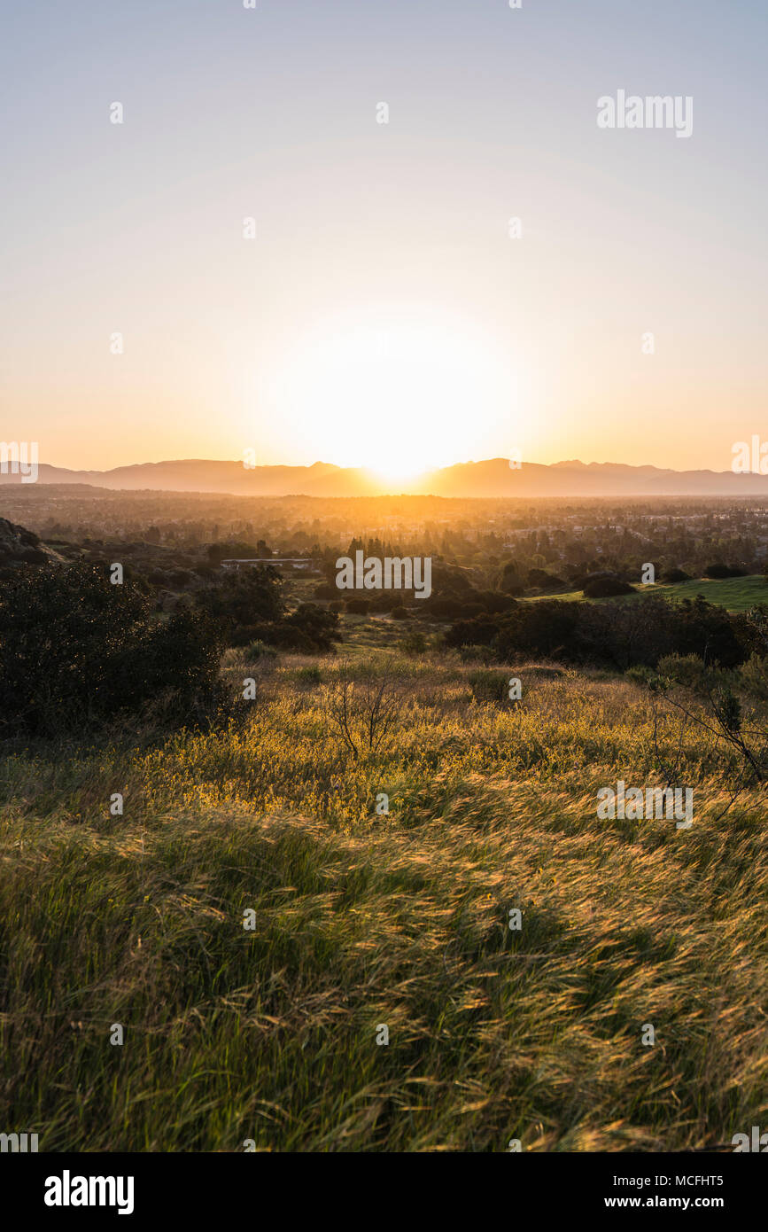 Vertical sunrise view of spring meadow at Santa Susana State Historic ...