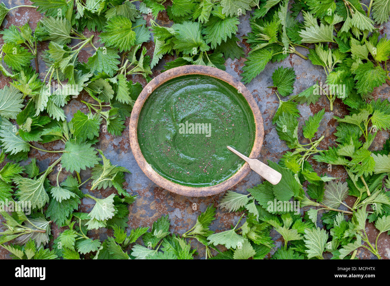 Foraged wild food. Bowl of Nettle soup and Stinging Nettles on a slate ...