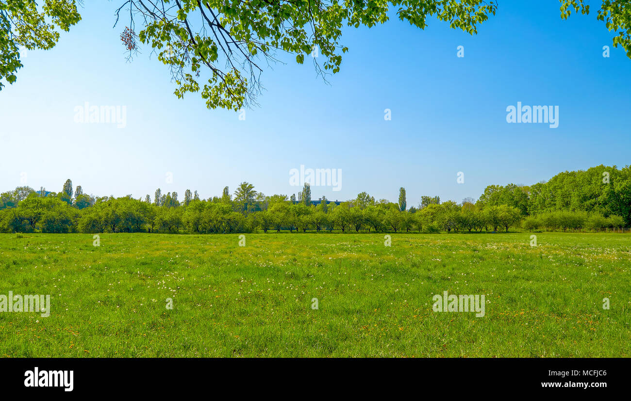 Sunny blue sky open field background hi-res stock photography and ...