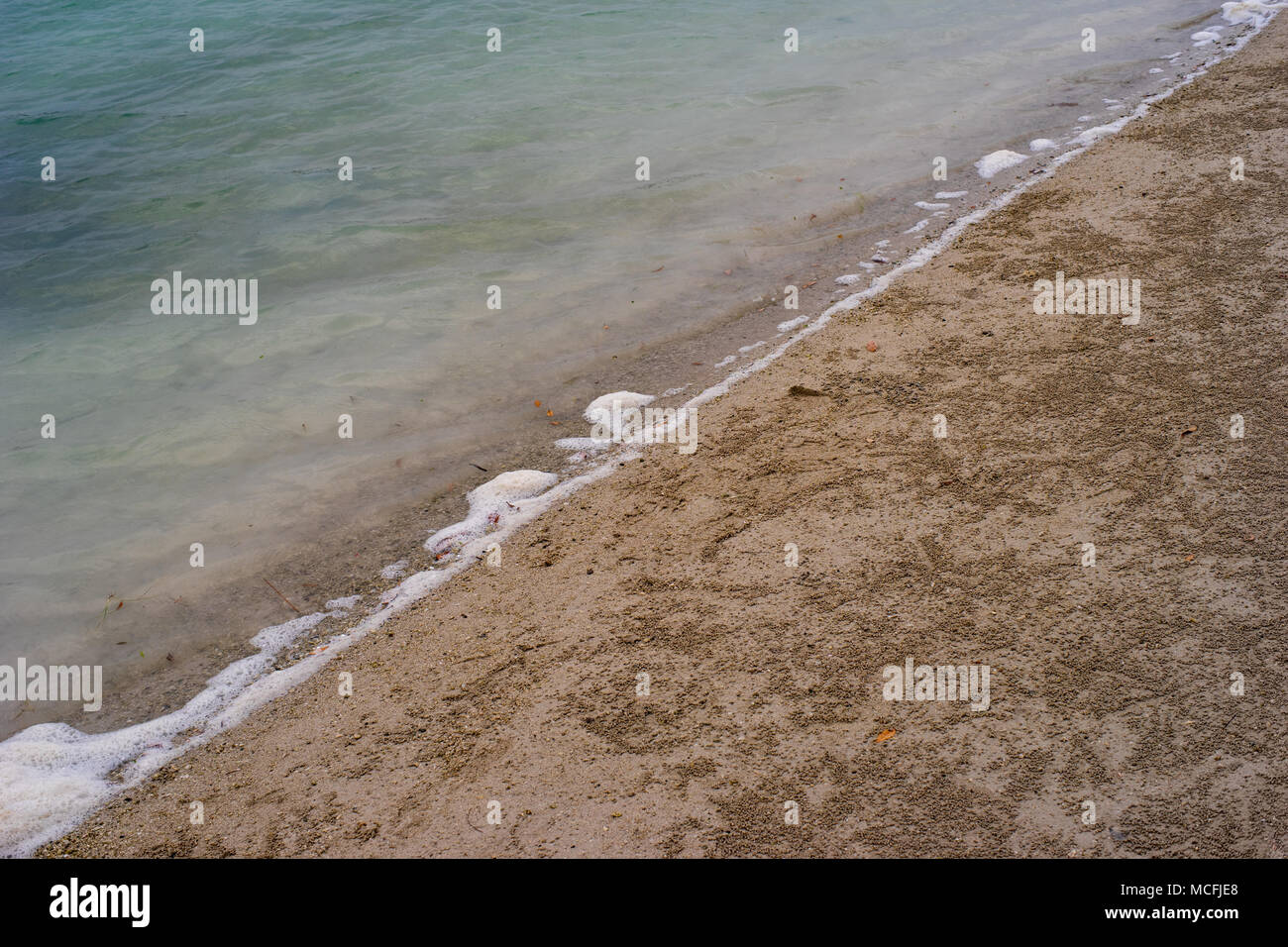 Thin line of sea foam / Beach foam also known as spume at Al Reem ...