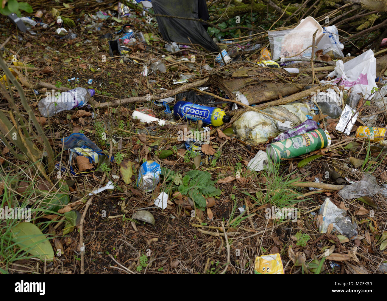 Plastic bottles, plastic bags and food packaging, rubbish thrown away ...
