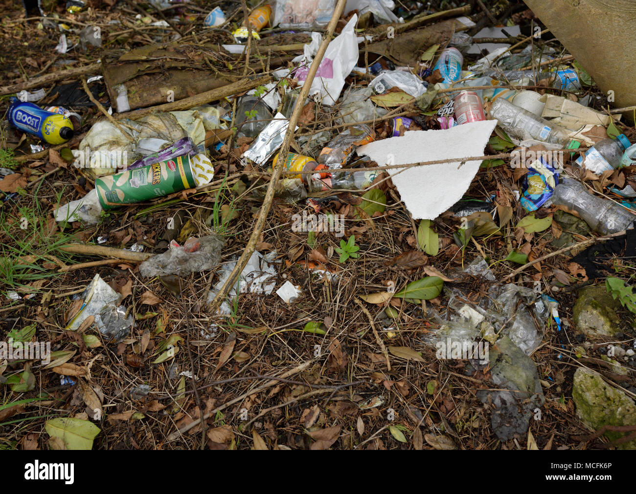 Plastic bottles, plastic bags and food packaging, rubbish thrown away ...