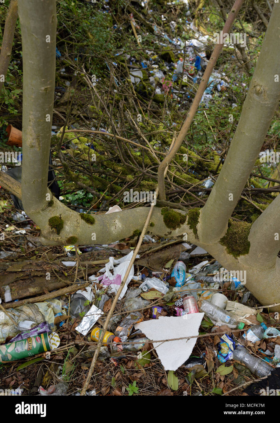 Plastic bottles, plastic bags and food packaging, rubbish thrown away ...