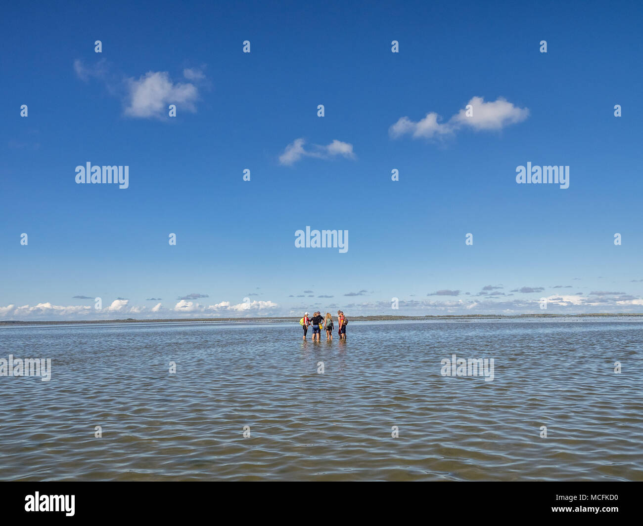Small group of people experiencing the vastness of walking the Dutch ...