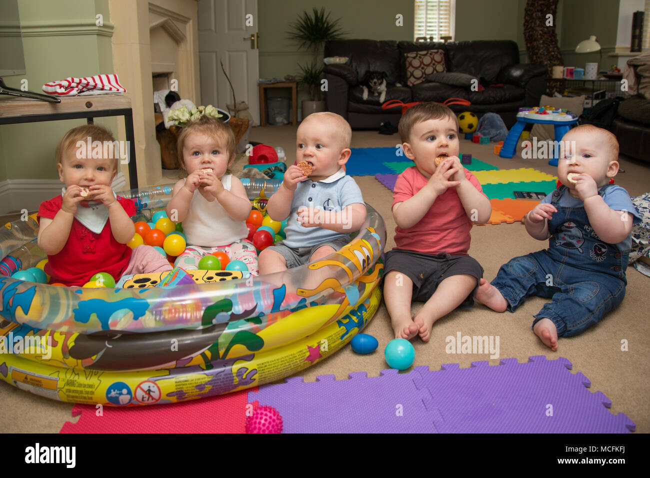 A childminder looking after babies in her home, UK Stock Photo - Alamy