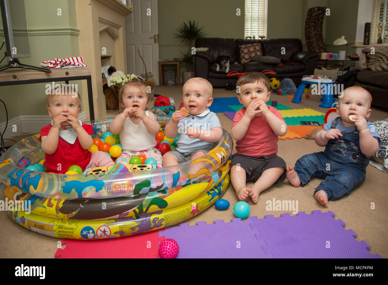 A childminder looking after babies in her home, UK Stock Photo - Alamy