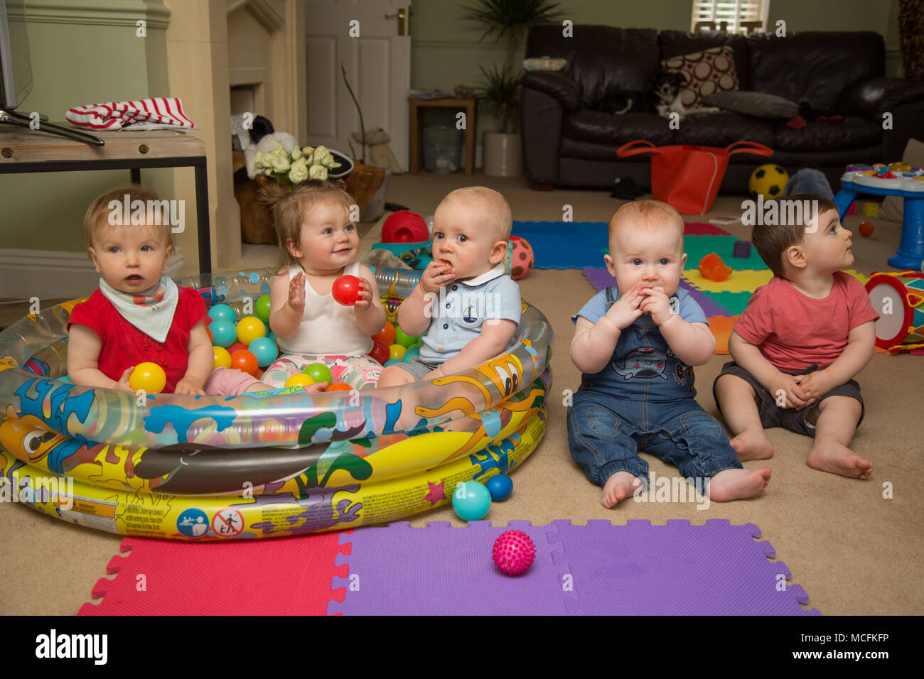 A childminder looking after babies in her home, UK Stock Photo - Alamy