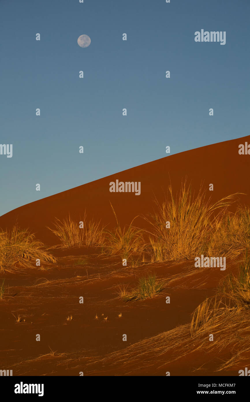 Sand Dunes of Namibia Stock Photo - Alamy