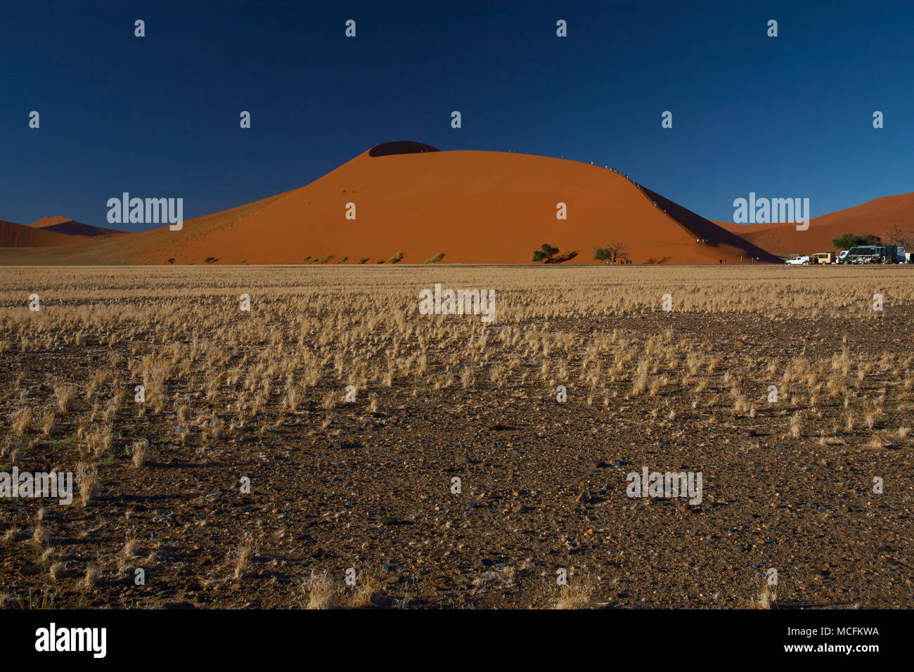 Sand Dunes of Namibia Stock Photo - Alamy