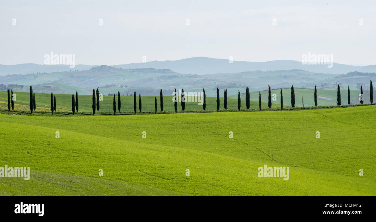 Crete senesi. Views of the Sienese countryside Stock Photo - Alamy