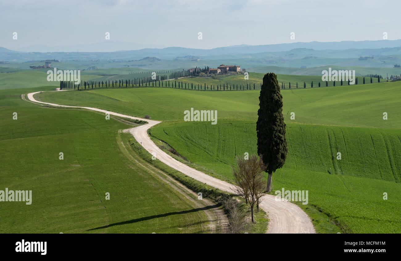 Crete senesi. Views of the Sienese countryside Stock Photo - Alamy