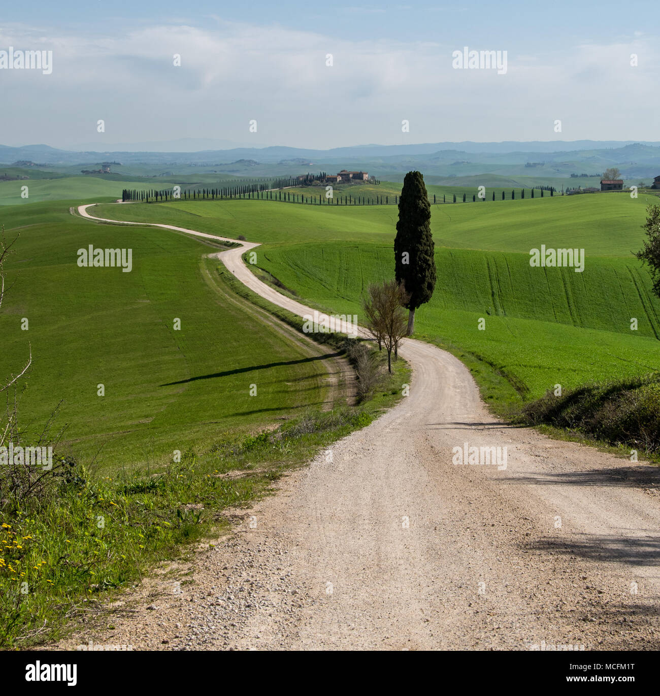 Crete senesi. Views of the Sienese countryside Stock Photo - Alamy