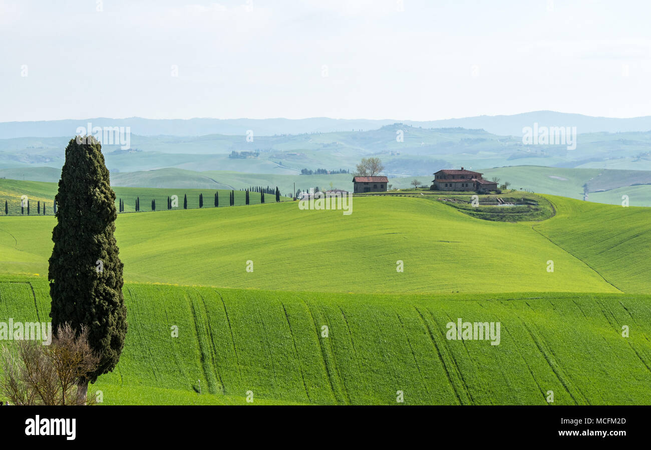 Crete senesi. Views of the Sienese countryside Stock Photo - Alamy