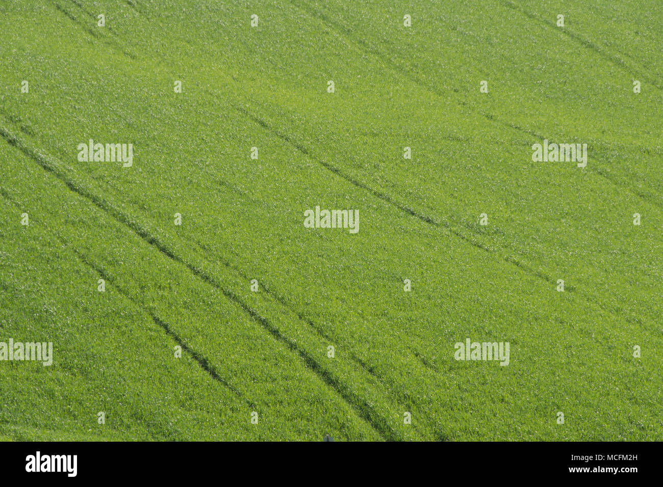 Crete senesi. Views of the Sienese countryside Stock Photo - Alamy