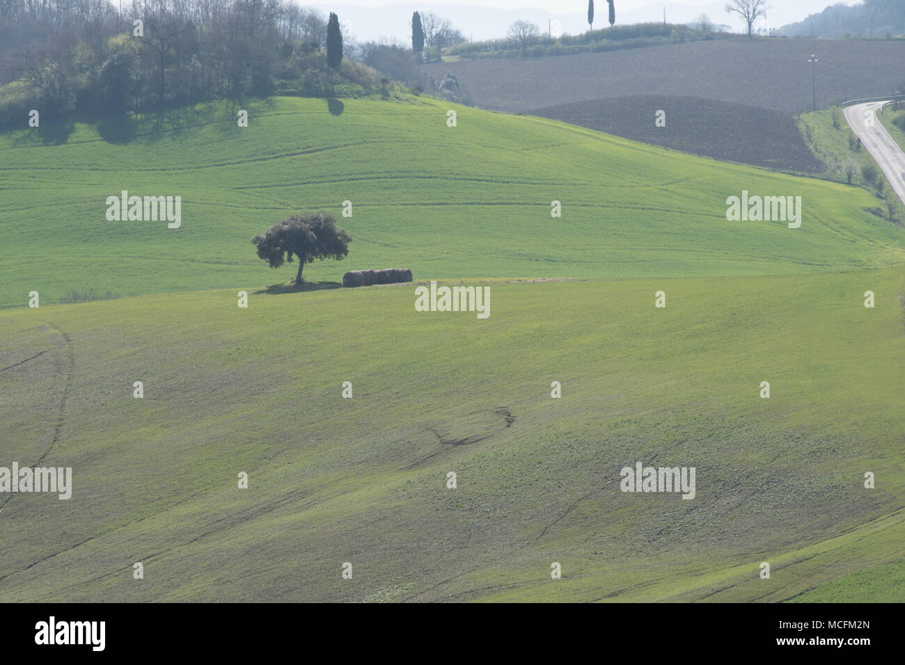 Crete senesi. Views of the Sienese countryside Stock Photo - Alamy