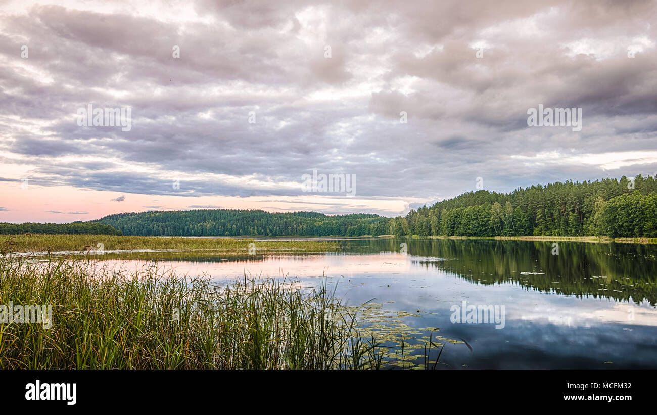 Lake in forest summer time hi-res stock photography and images - Alamy