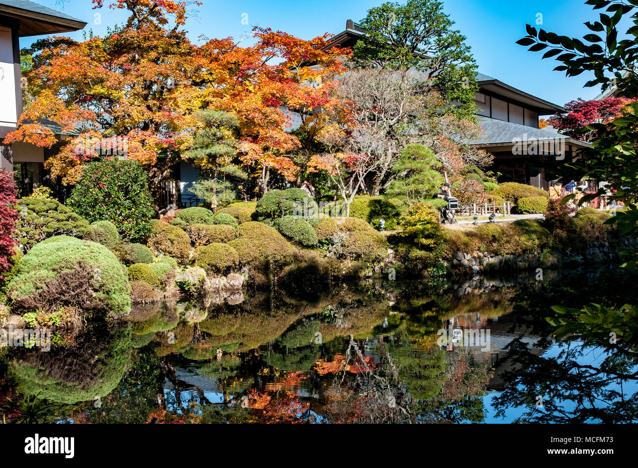 Shoyo en hi-res stock photography and images - Alamy