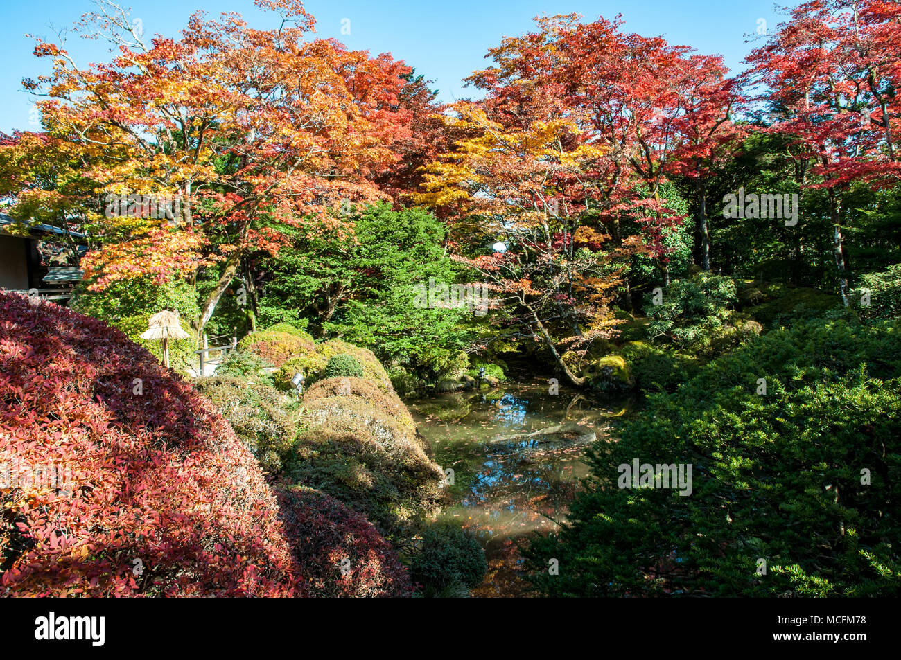 Wonderful foliage in the Shoyo-en japanese garden in Nikko Stock Photo ...