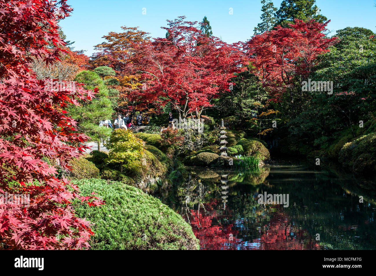 Wonderful foliage in the Shoyo-en japanese garden in Nikko Stock Photo ...