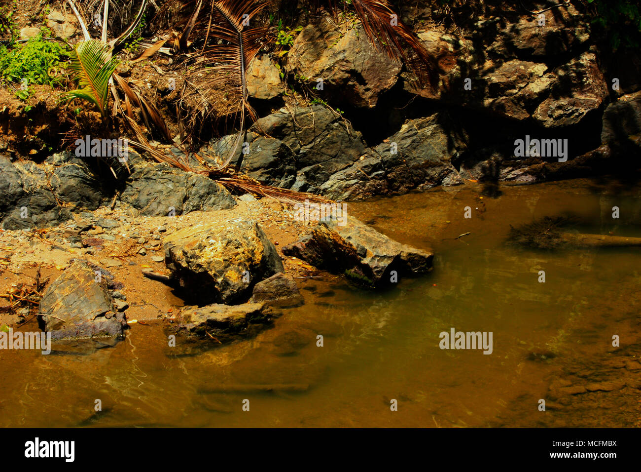 Enchanting trinidad hi-res stock photography and images - Alamy