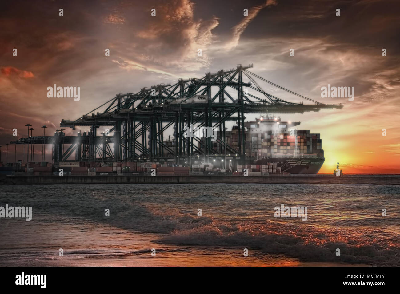 Msc rosa hi-res stock photography and images - Alamy