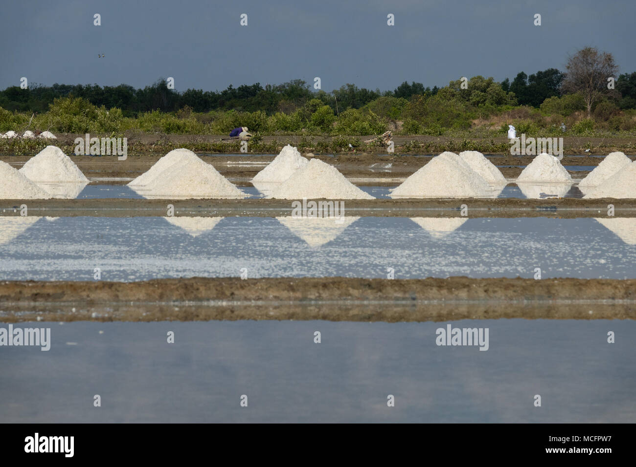 White salt field in sunny day. Royalty high quality free stock image of ...