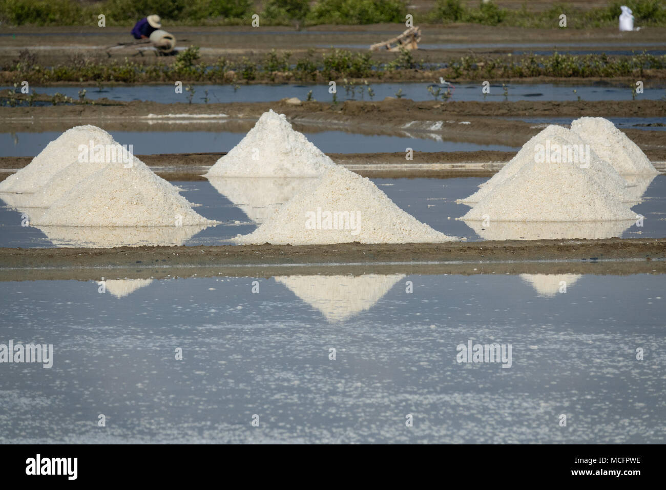 White salt field in sunny day. Royalty high quality free stock image of ...