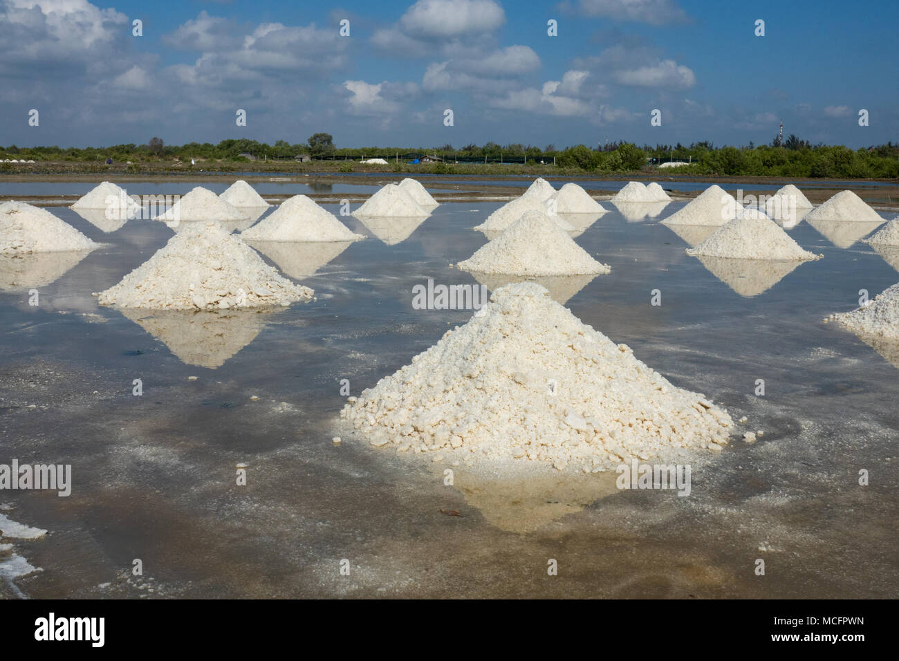 White salt field in sunny day. Royalty high quality free stock image of ...