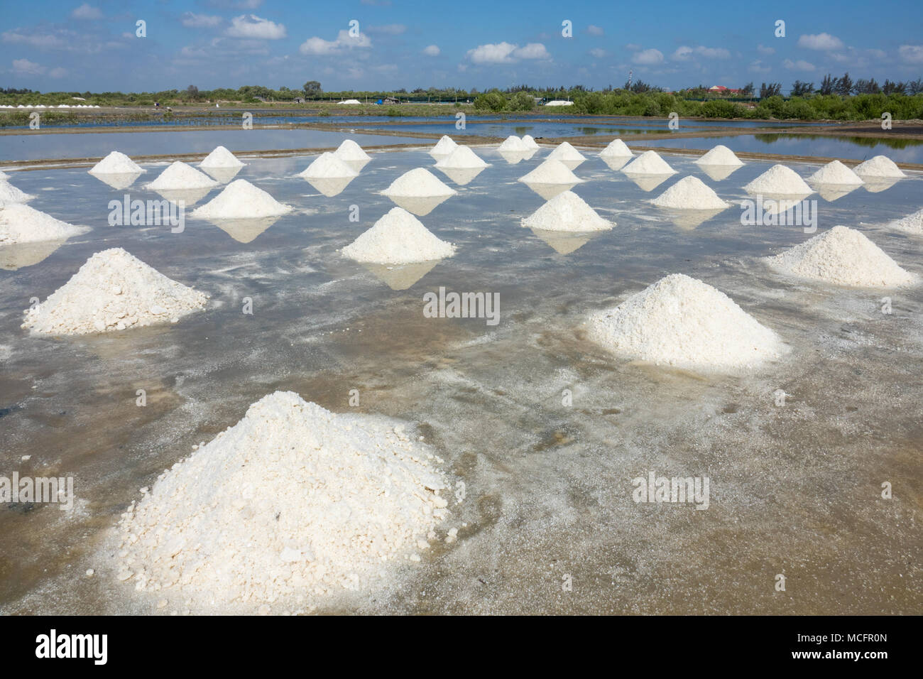 White salt field in sunny day. Royalty high quality free stock image of ...