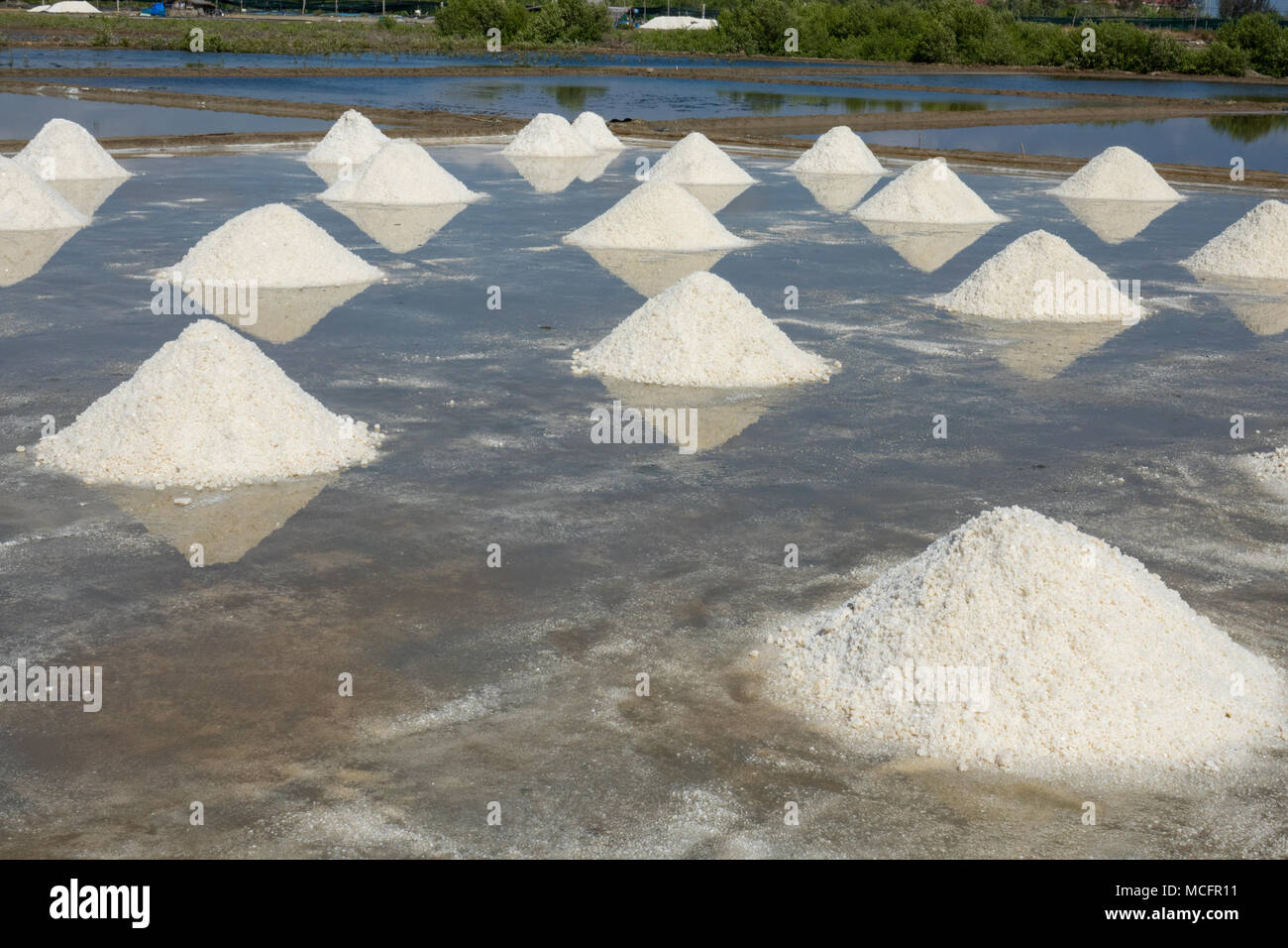 White salt field in sunny day. Royalty high quality free stock image of ...